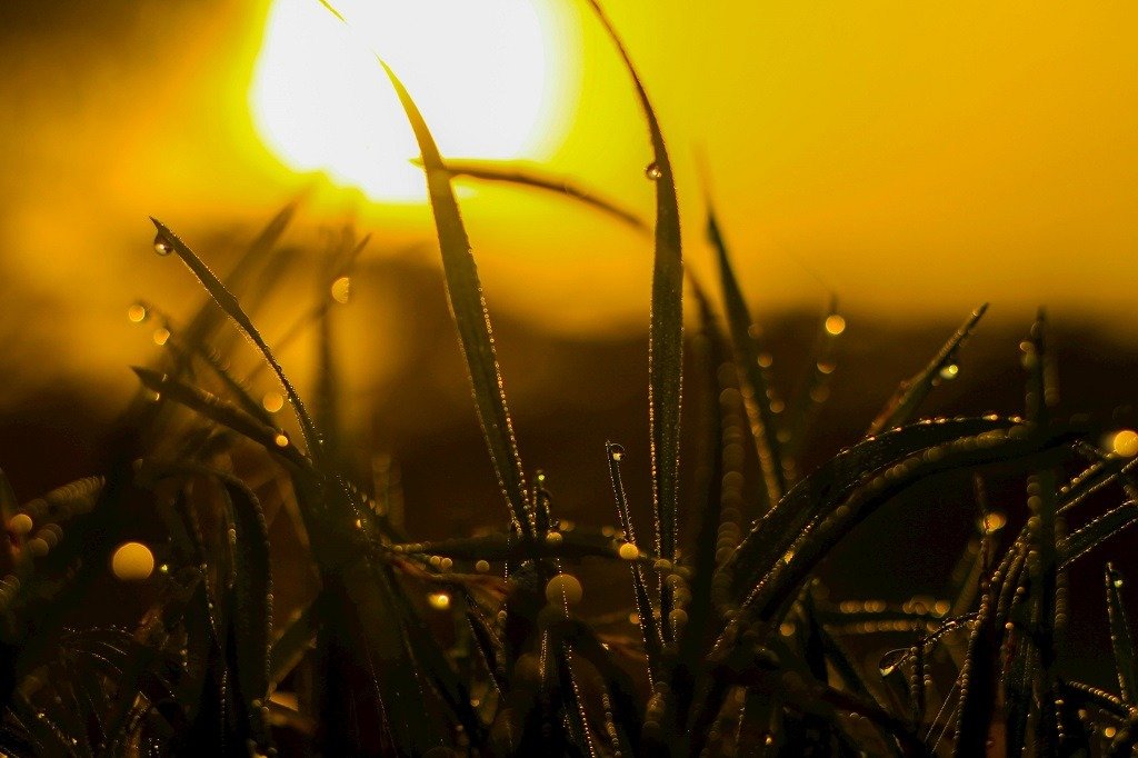 What does it mean spiritually when it rains while the sun is out? - My ...
