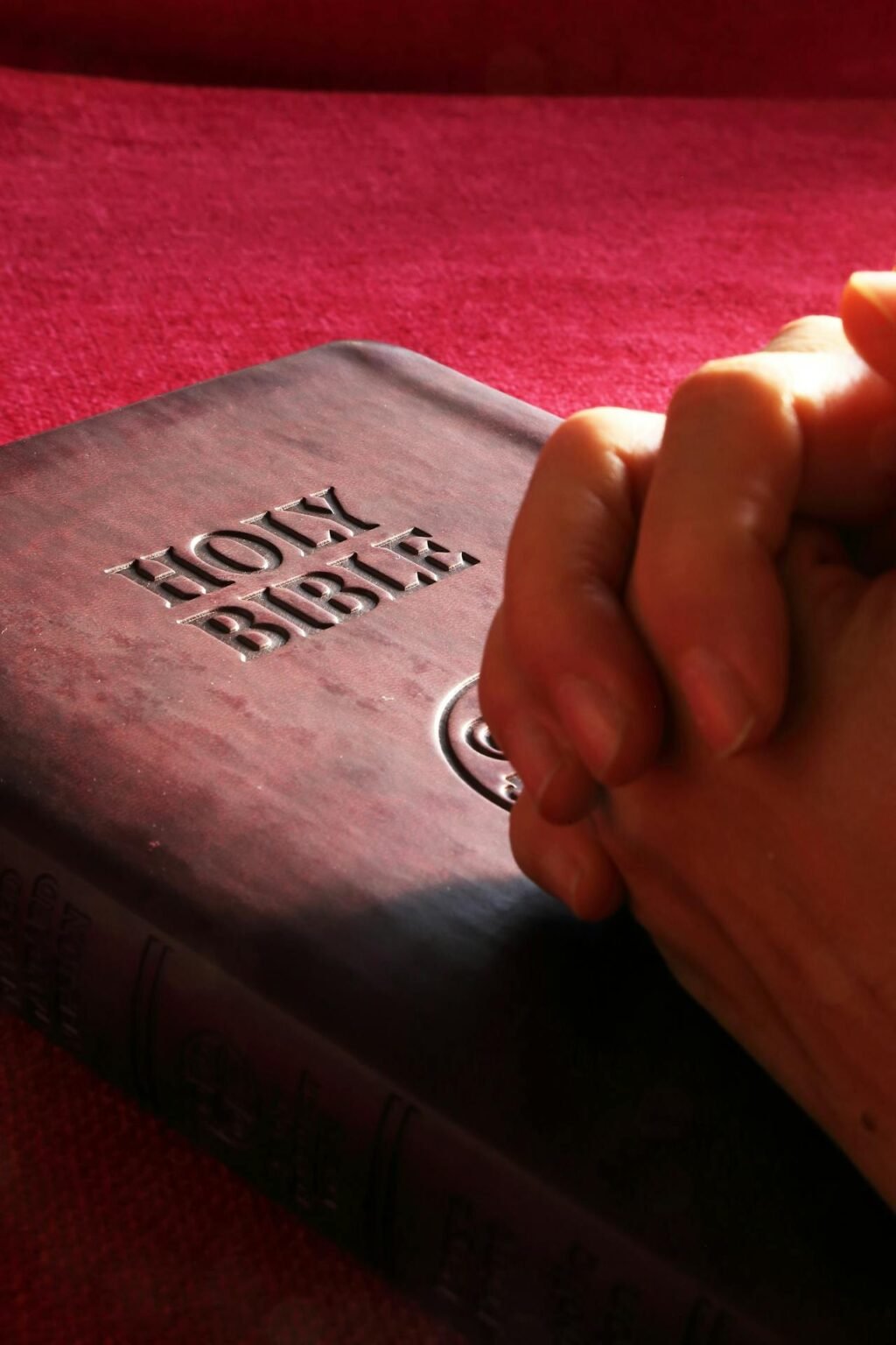 What is the significance of calamus in the Bible? - My Spirit IQ