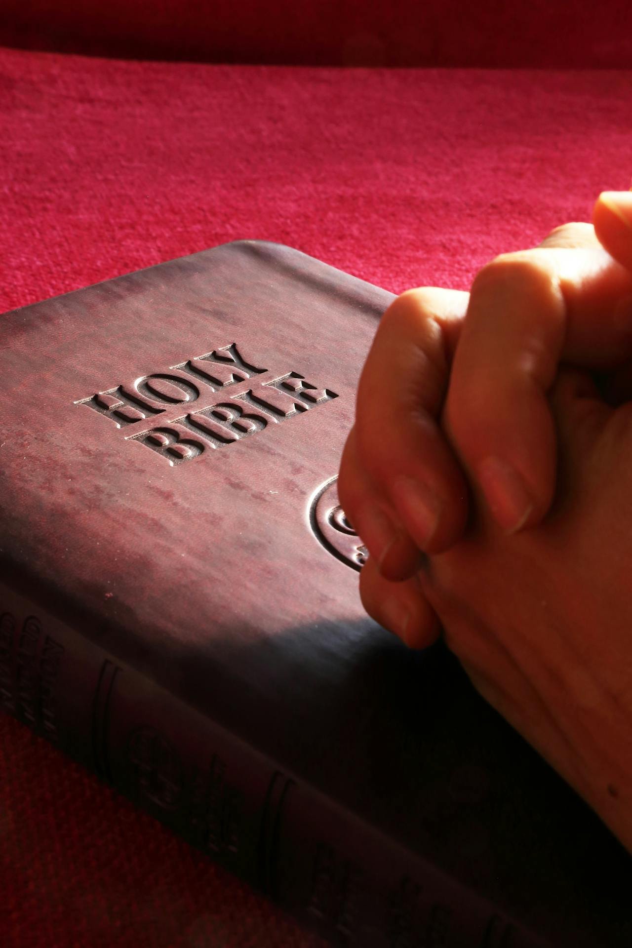 What is the significance of calamus in the Bible? - My Spirit IQ