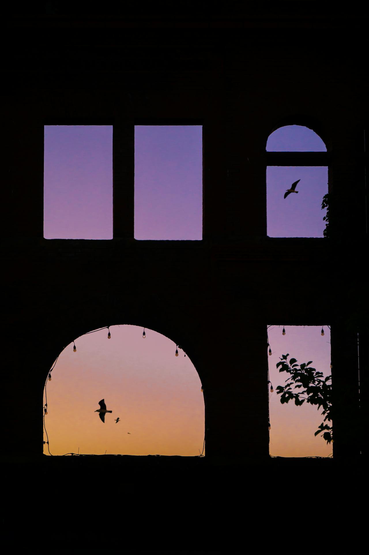 What is the spiritual significance of a bird flying into a window? - My ...