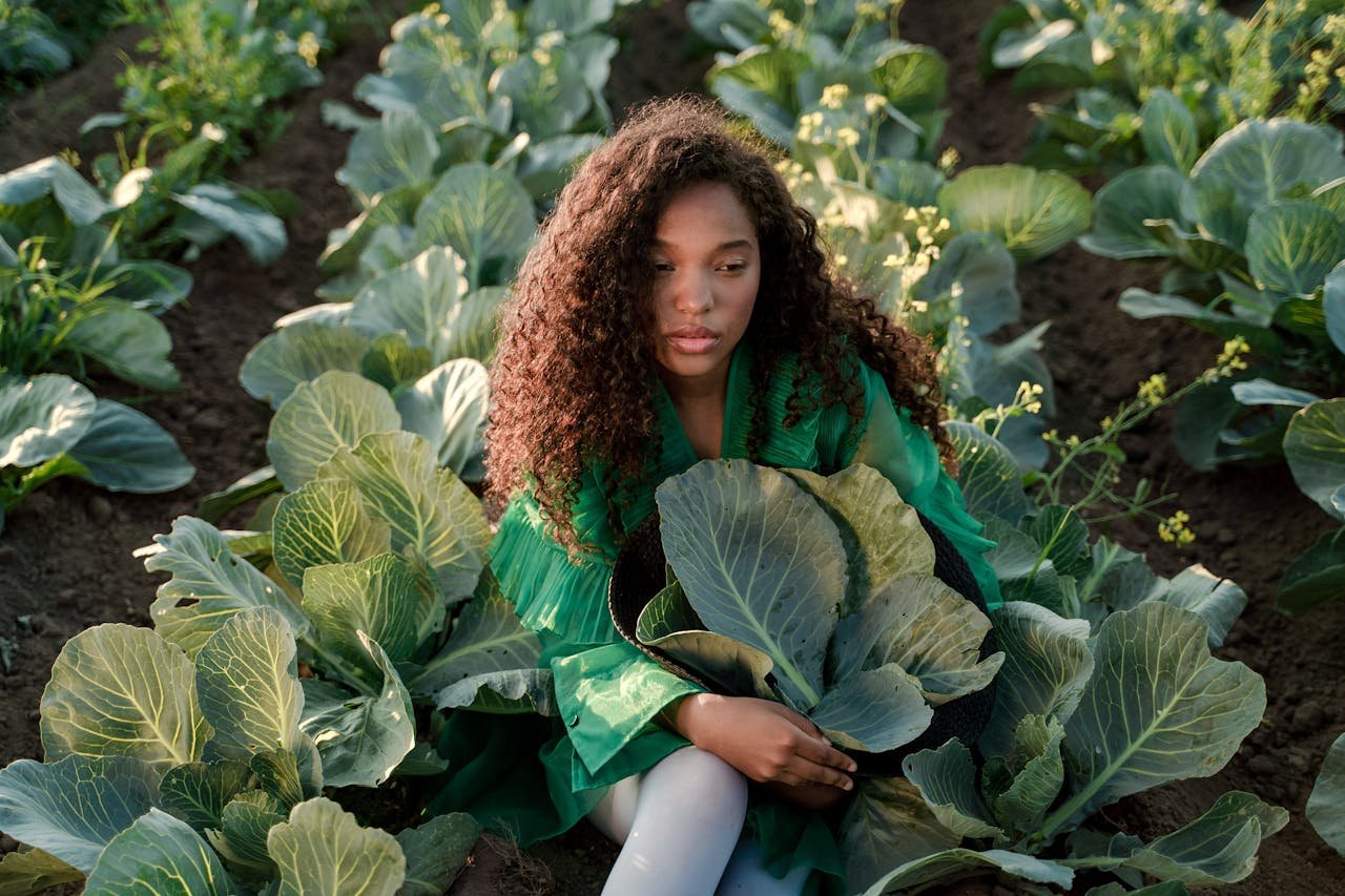 What Does Cabbage Symbolize Spiritually? - My Spirit IQ